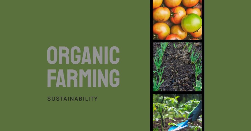 2023's Perspective on Organic Farming Sustainability: A Comprehensive ...