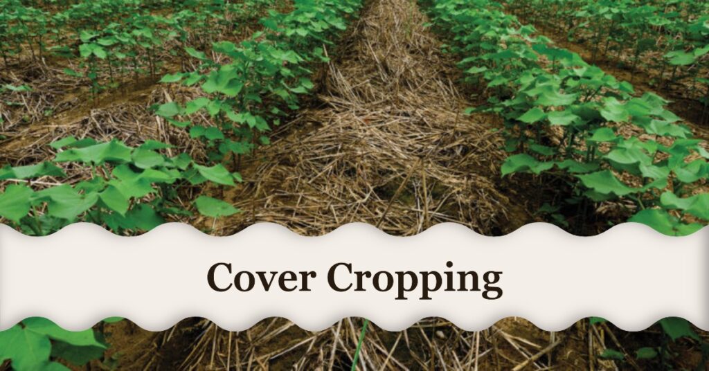 2023's Perspective on Organic Farming Sustainability: A Comprehensive ...