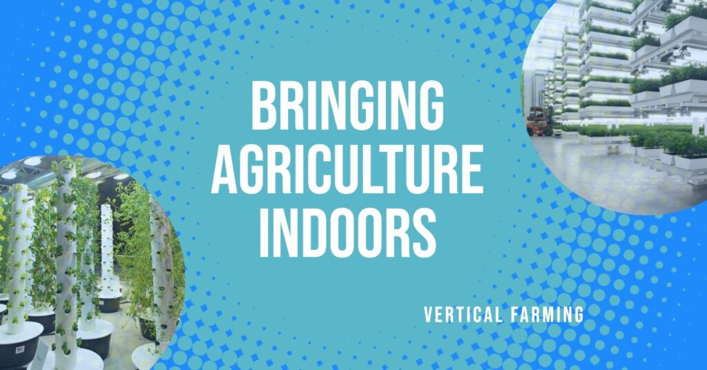 What is Vertical Farming and Is it a Profitable Business? Here's What ...