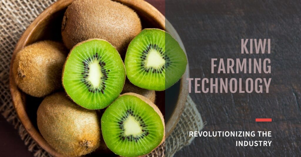 Discover the World of Kiwi Farming and Latest Technology Involved in ...