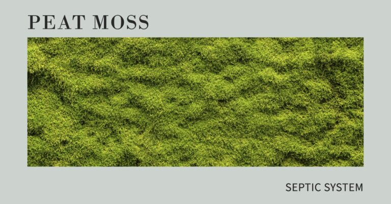Find Out The complete Pros and Cons of Using Peat Moss in Your Septic ...